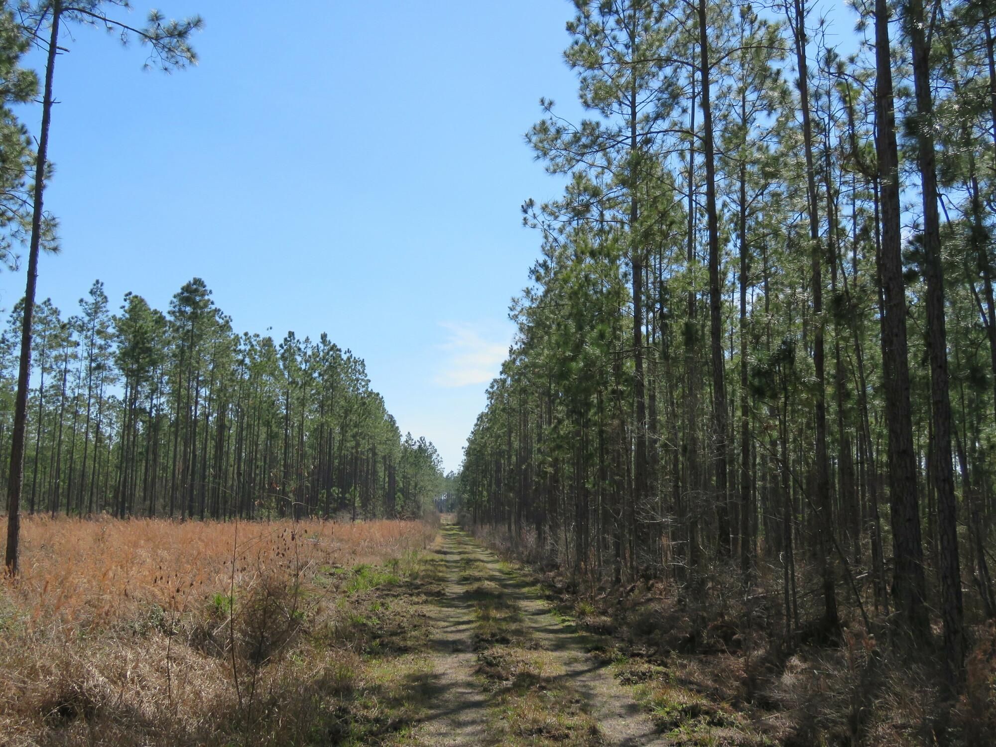 100 SE State Road 100, Lake City, FL 32055 | LandWatch