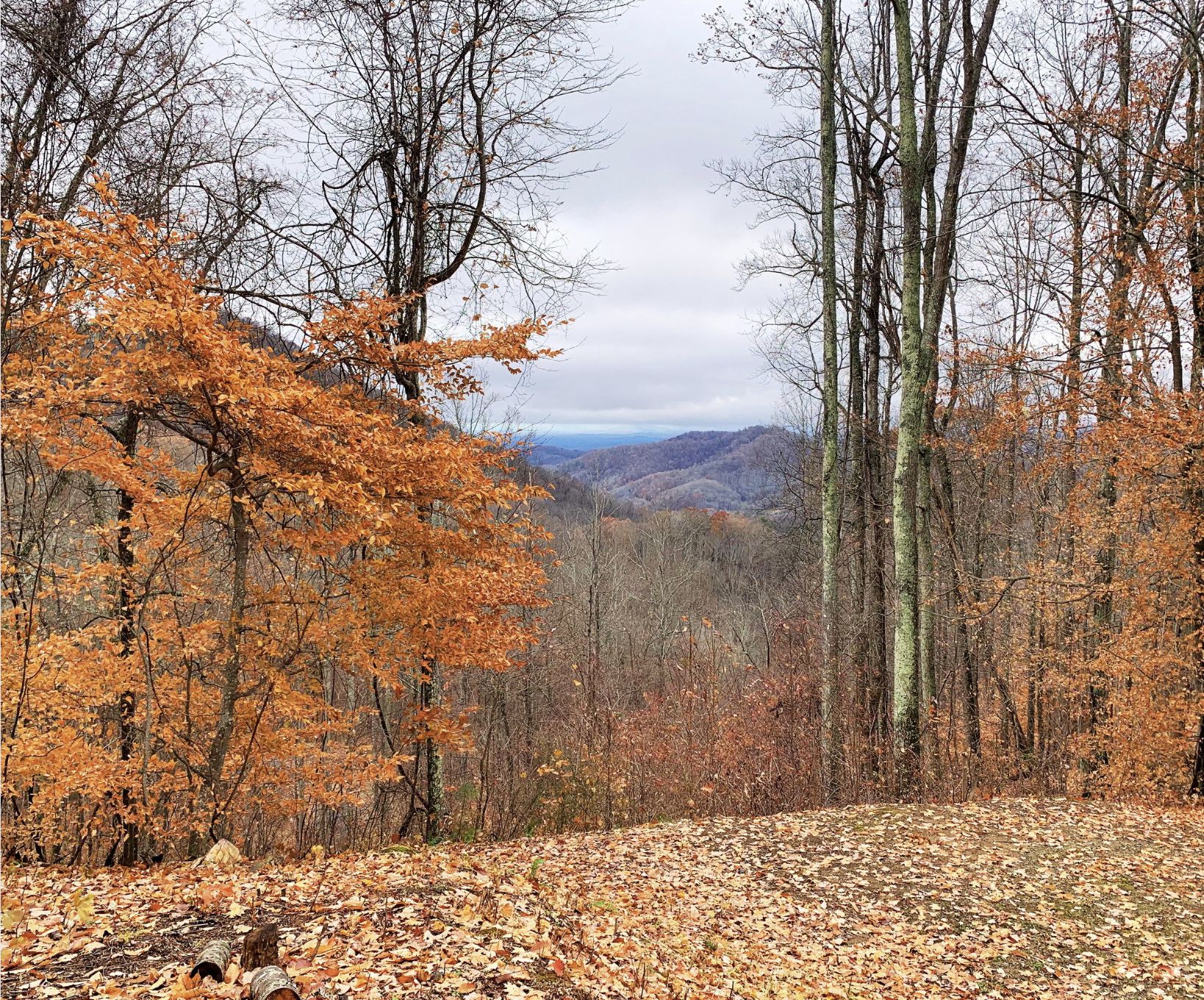 Red Wolf Run, Mars Hill, NC 28754 | LandWatch