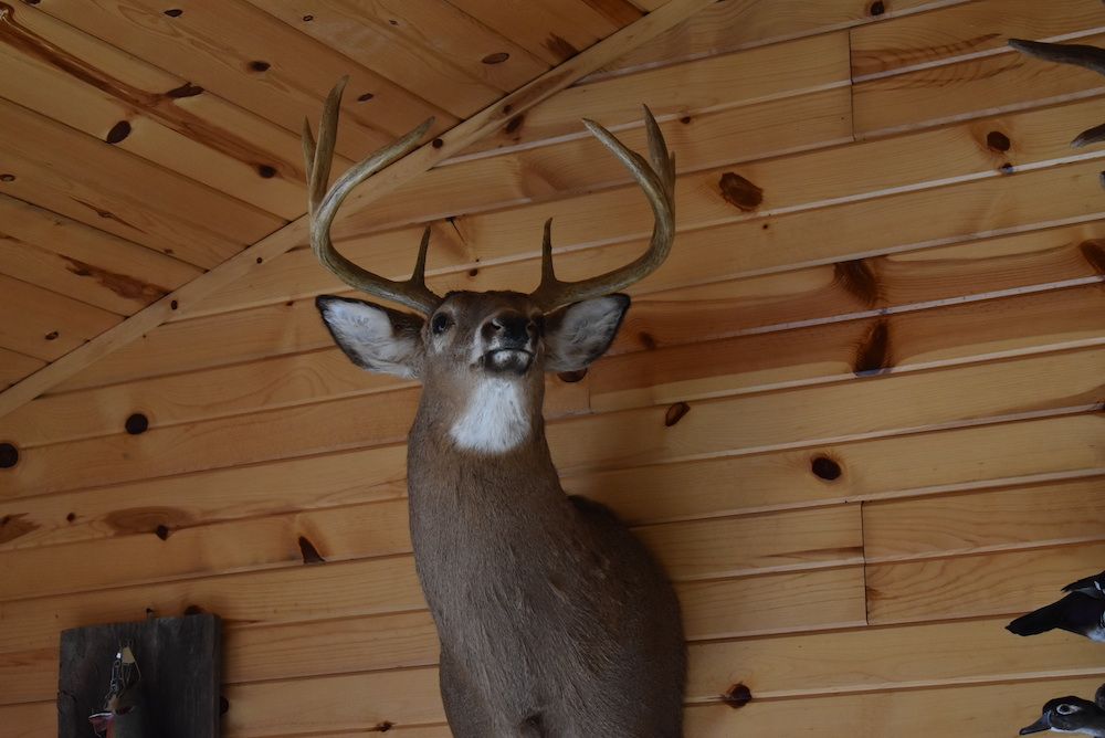 Fence, Florence County, WI Recreational Property for sale Property ID ...