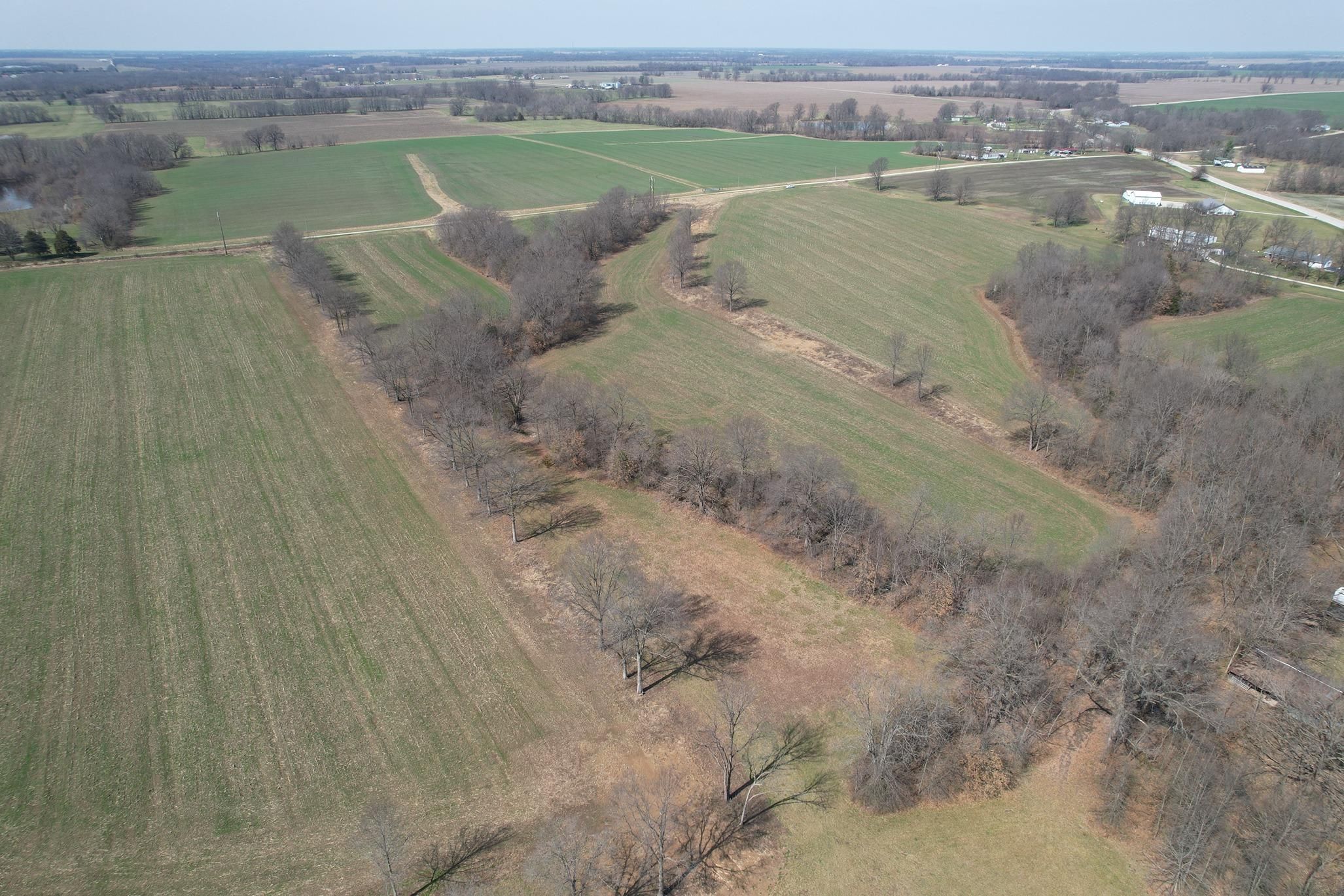 State Hwy 15, Mexico, MO 65265 | MLS: 24107.7 | LandWatch