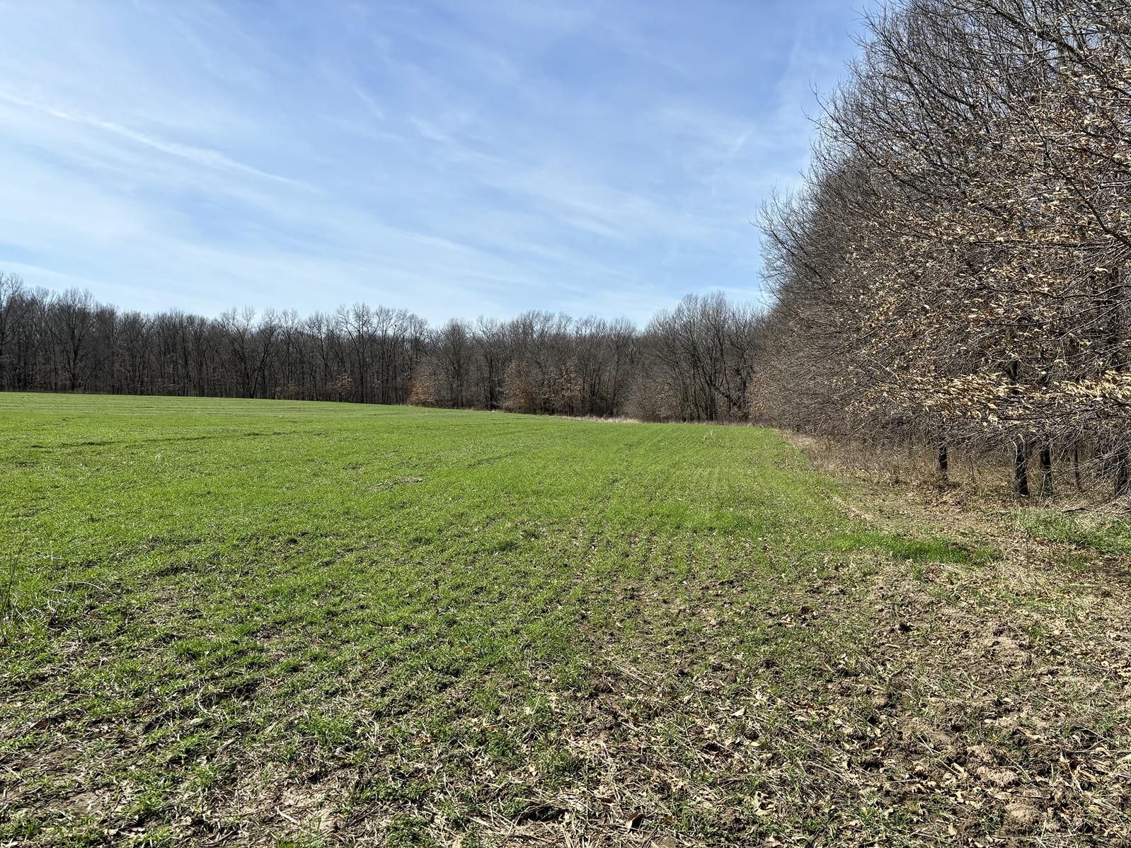 State Hwy 15, Mexico, MO 65265 | MLS: 24107.10 | LandWatch