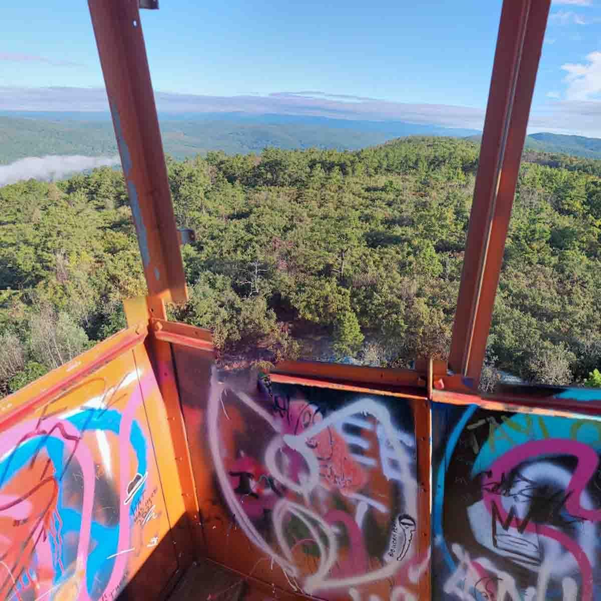 Fire Tower Road, Bloomingburg, NY 12721 | MLS: 21.A-8-2 | LandWatch