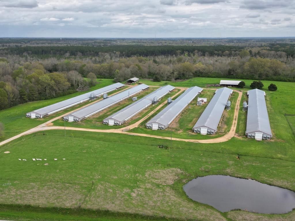 571 Hwy 583 N, Tylertown, MS 39667 | MLS: 141038 | LandWatch