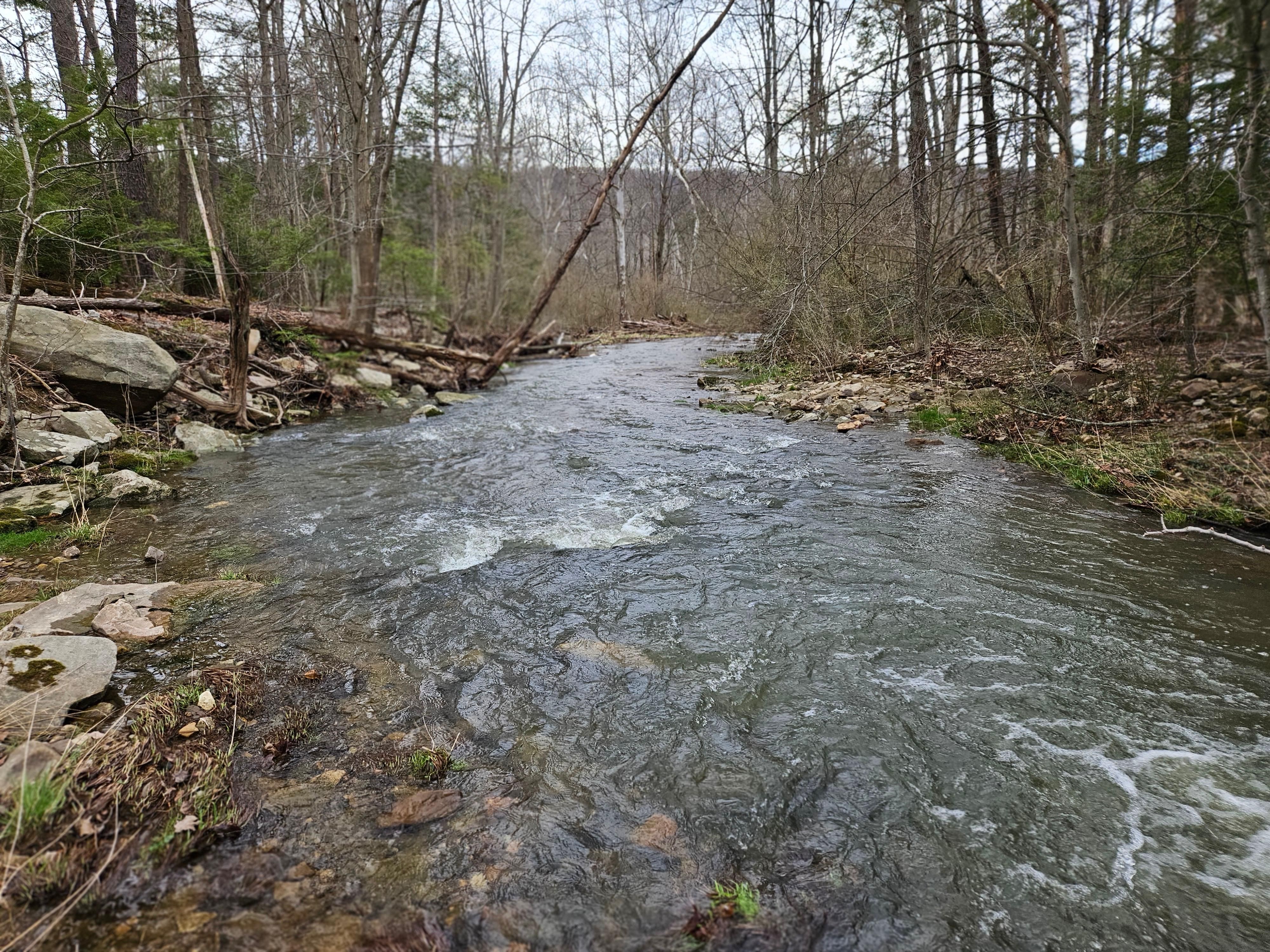 Croghan Pike, Shade Gap, PA 17255 | MLS: PAHU2022534 | LandWatch