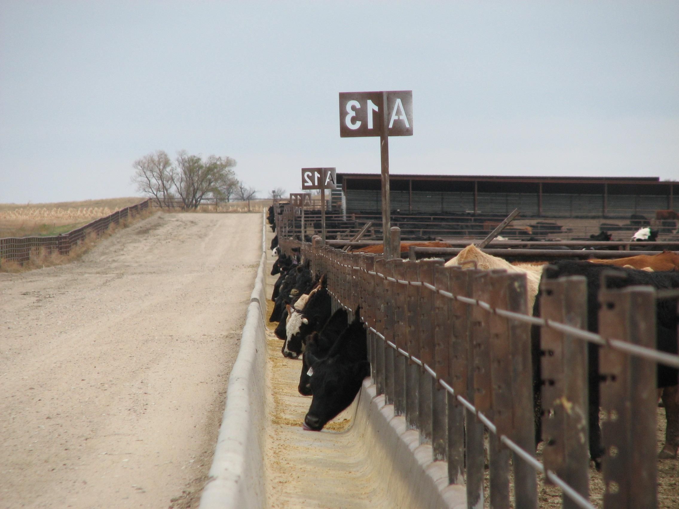 640 acres in Stuart, NE, 68780 | LandWatch