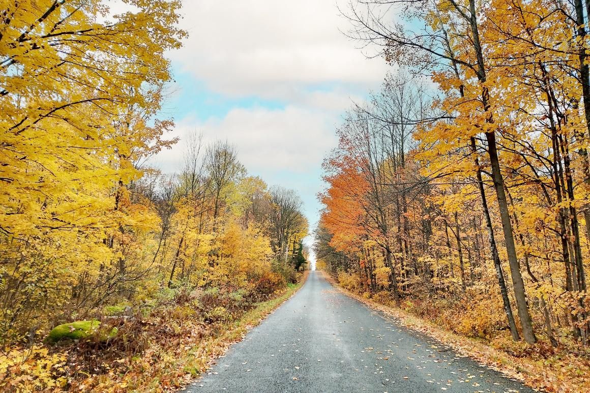 N18905 Snowshoe Drive, Goodman, WI 54125 | LandWatch