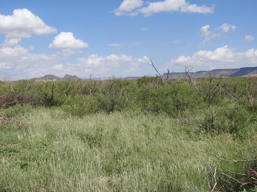 26-3 Hwy 118, Alpine, TX 79830 | MLS: 132913 | LandWatch