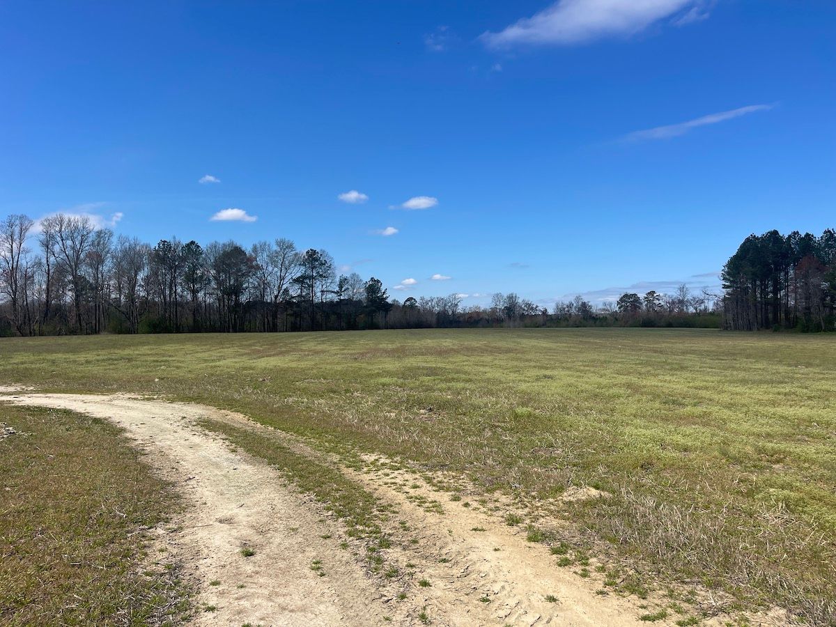 Off of Race Track Road, Lot#Wp002, Castalia, NC 27816 | LandWatch