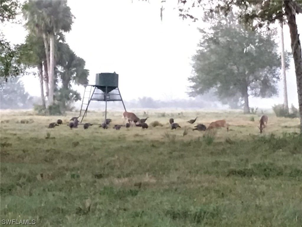 Roberts Ranch Road, Clewiston, FL 33440 | MLS: 224016810 | LandWatch