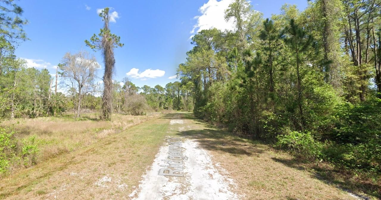 206 Edgewood Dr, Georgetown, FL 32139 | LandWatch