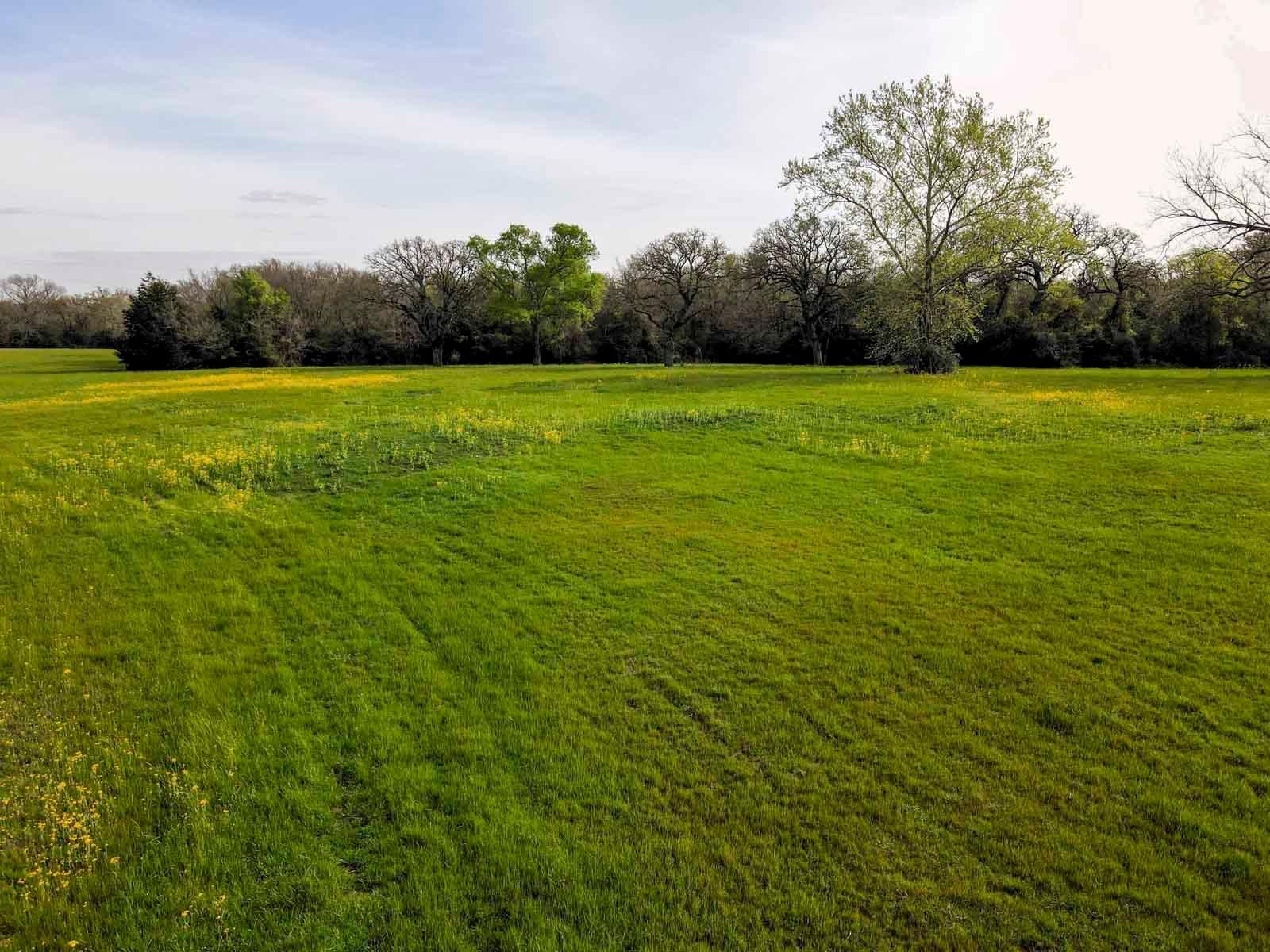103 acres in Wheelock, TX, 77859 | LandWatch