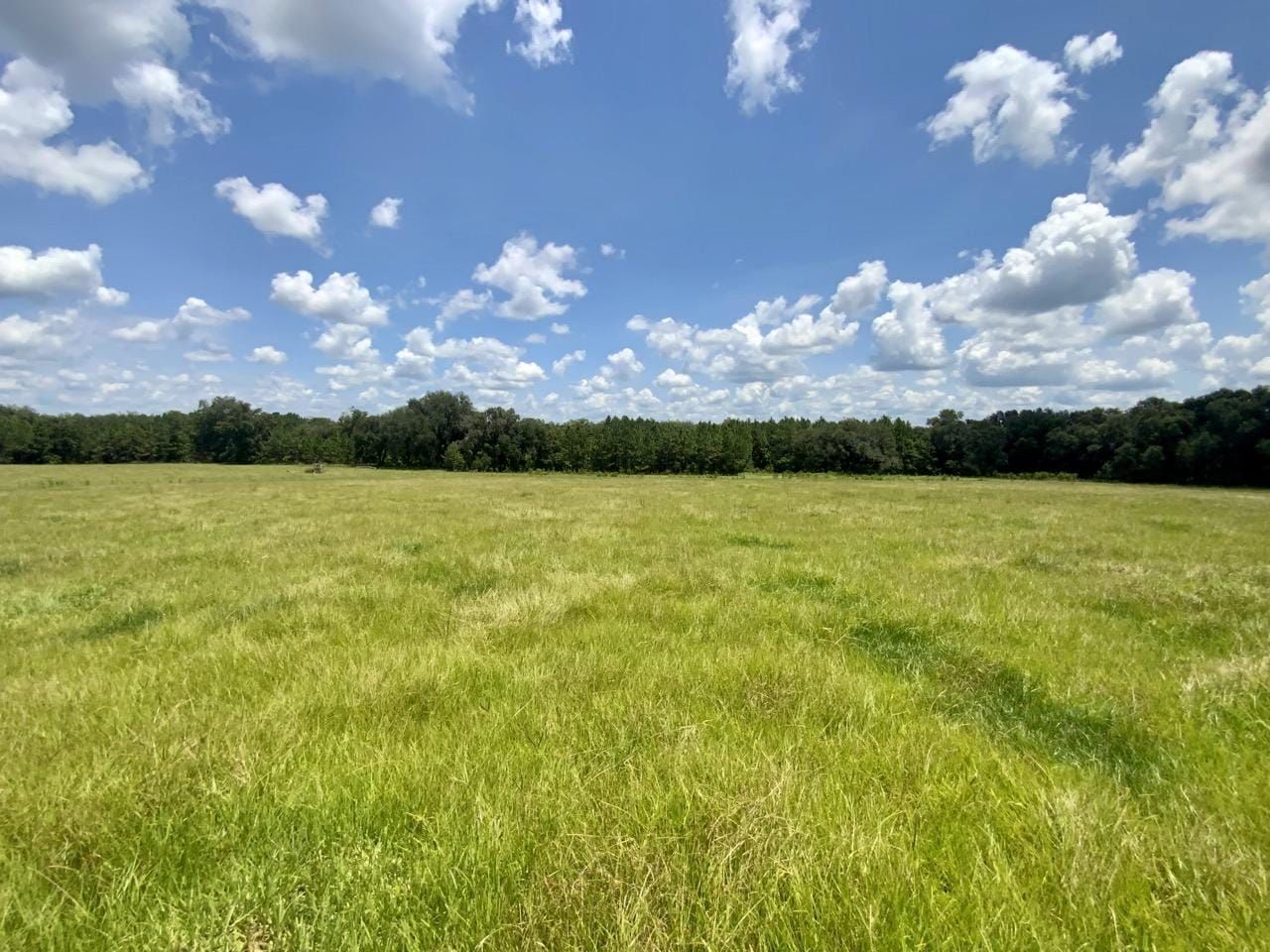 Vacant NW US, Greenville, FL 32331 | LandWatch