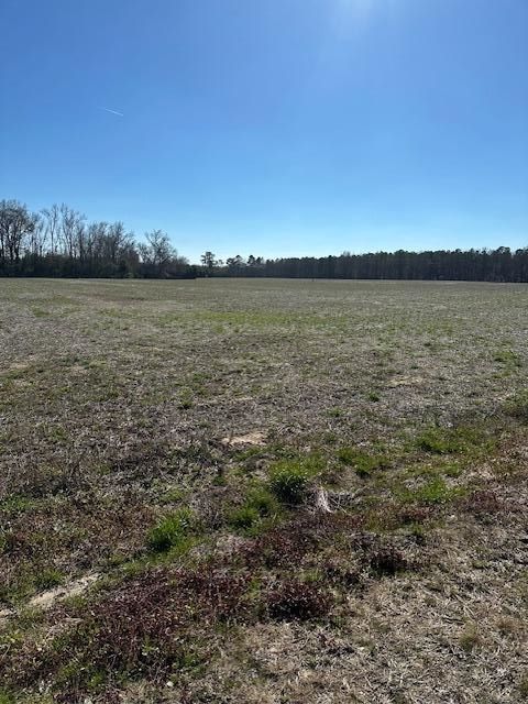 State Park Road, Fork, SC 29543 | LandWatch