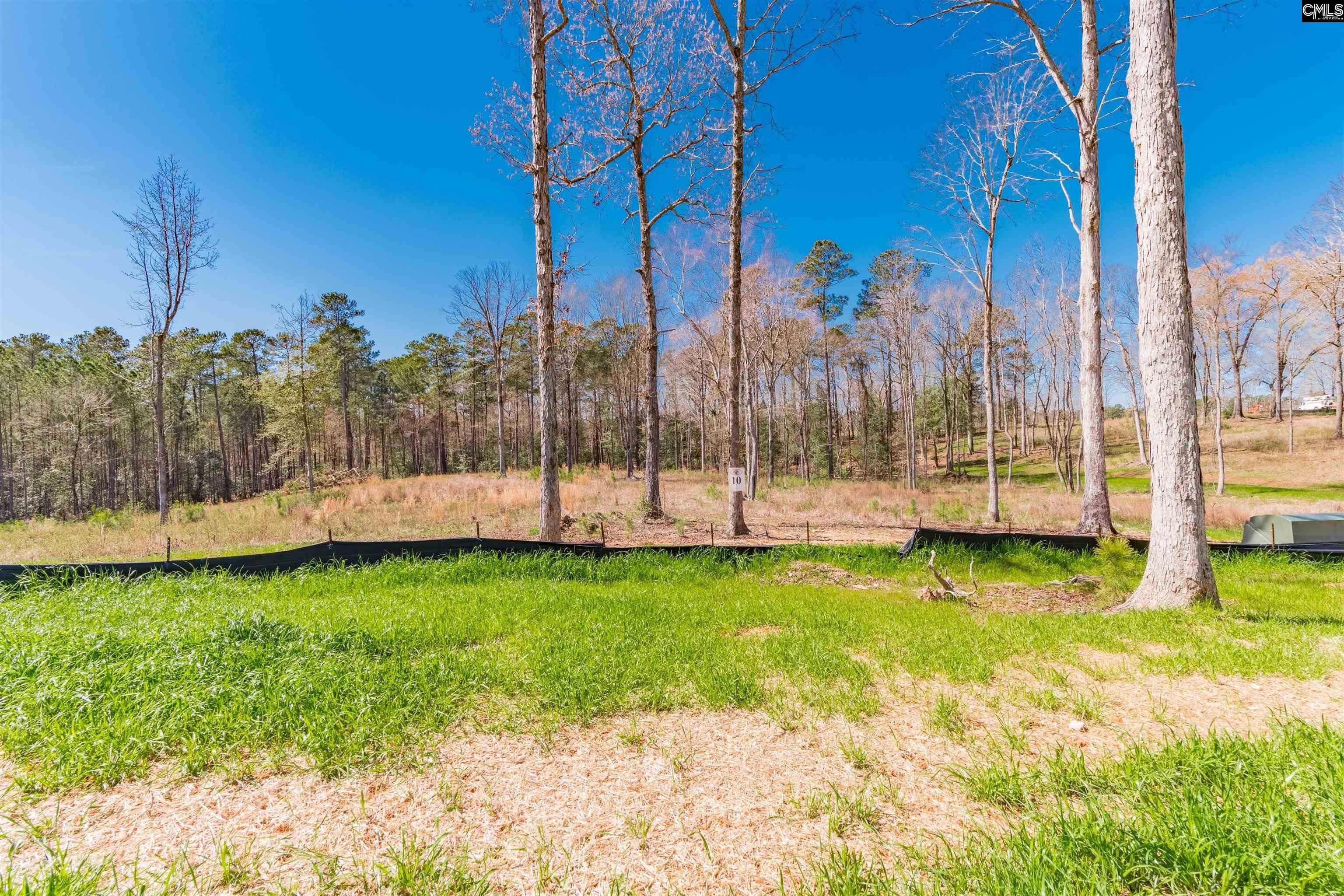0 Woodside Shores Drive, Prosperity, SC 29127 | MLS: 578177 | LandWatch