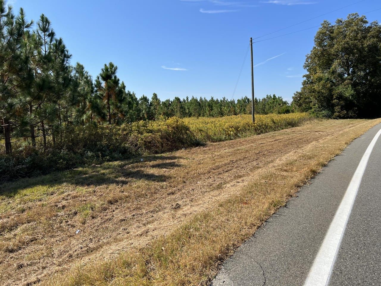 Hwy 26, Oglethorpe, GA 31068 | LandWatch