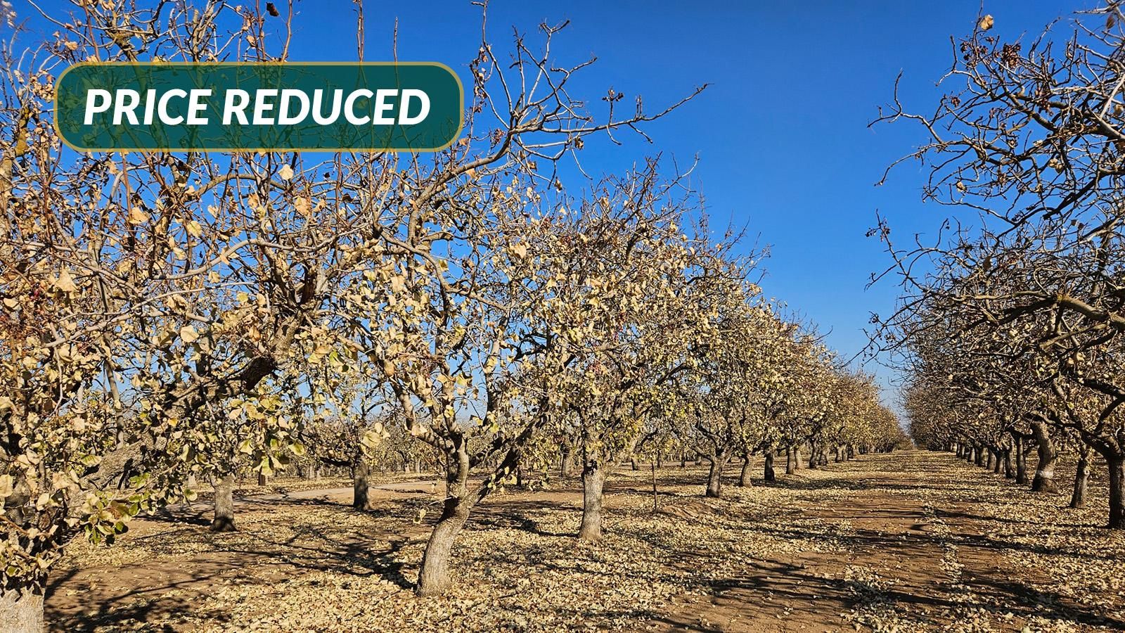 N. of Ave. 21, W. of Rd. 28 1/2, Madera, CA 93638 | LandWatch