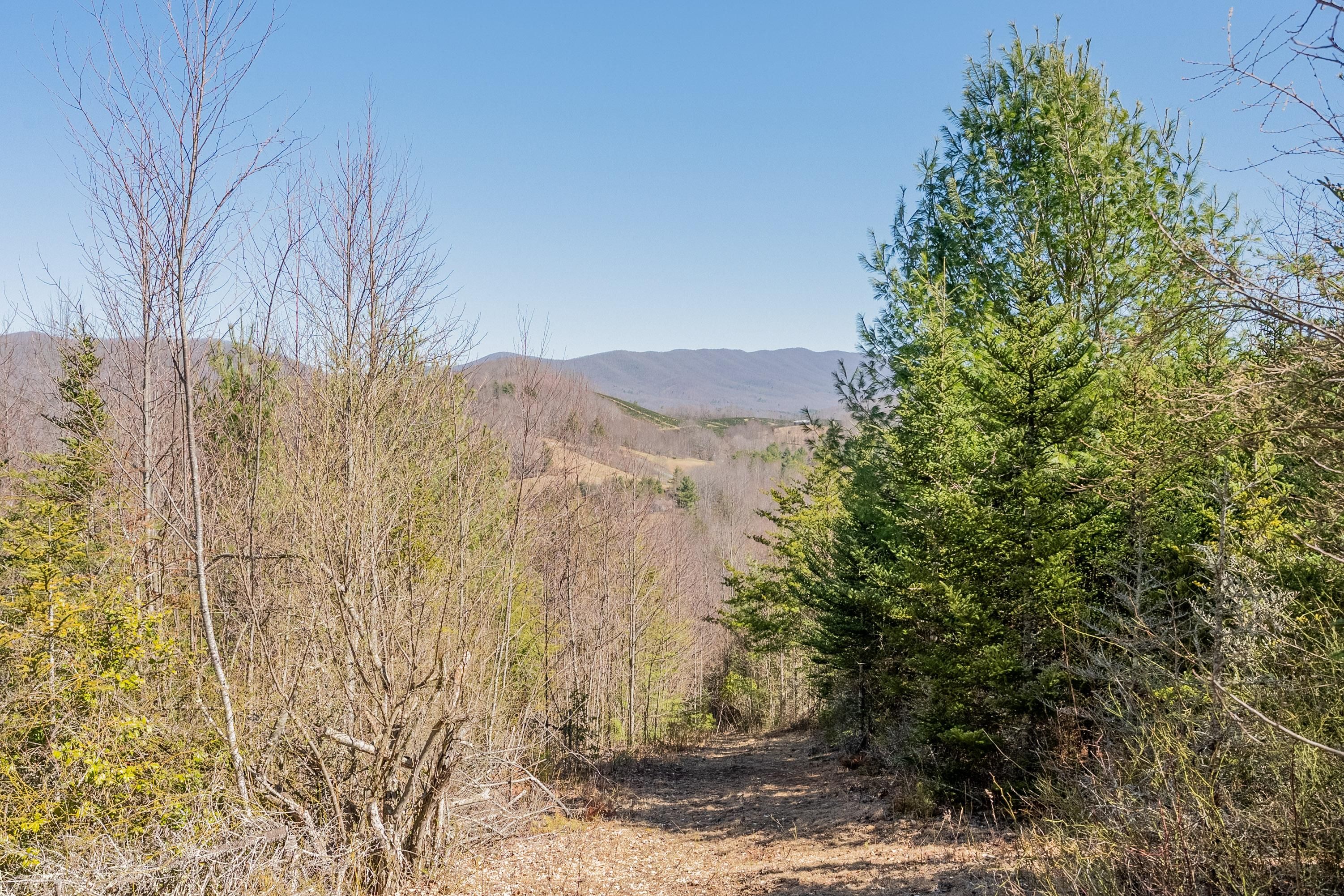 Jeb Stuart Hwy, Damascus, VA 24236 | MLS: 92981 | LandWatch