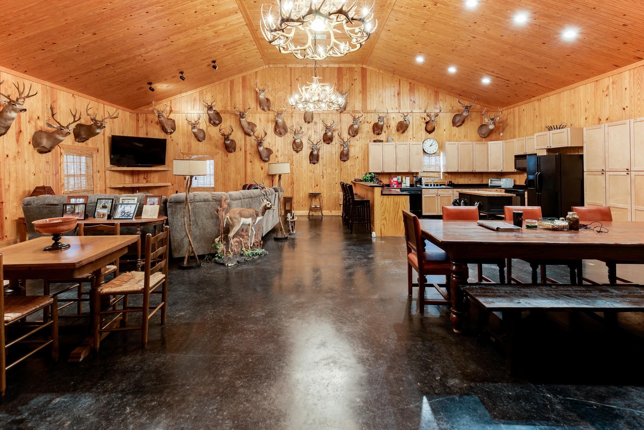 0 County Road 156, Ralph, AL 35480 | LandWatch