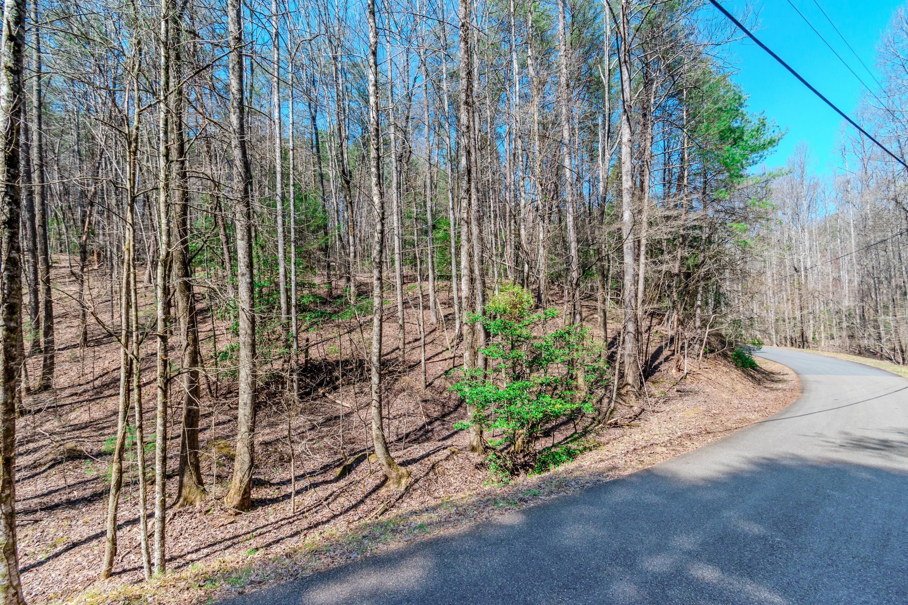 Lot 694 Satsuma Ct, Ellijay, GA 30540 | MLS: 409741 | LandWatch