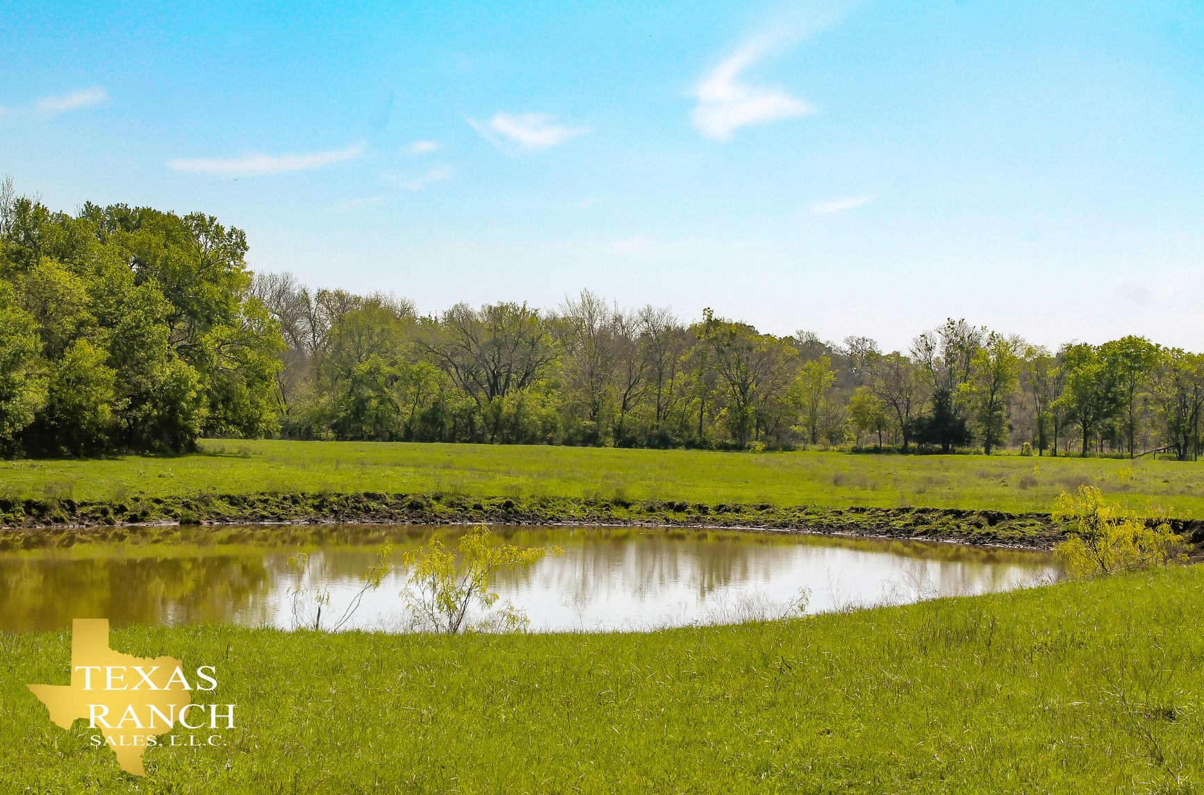 12 acres in Riesel, TX, 76682 | LandWatch