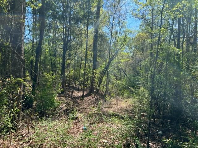 84 W Street, Mexia, AL 36445 | MLS: 17225 | LandWatch