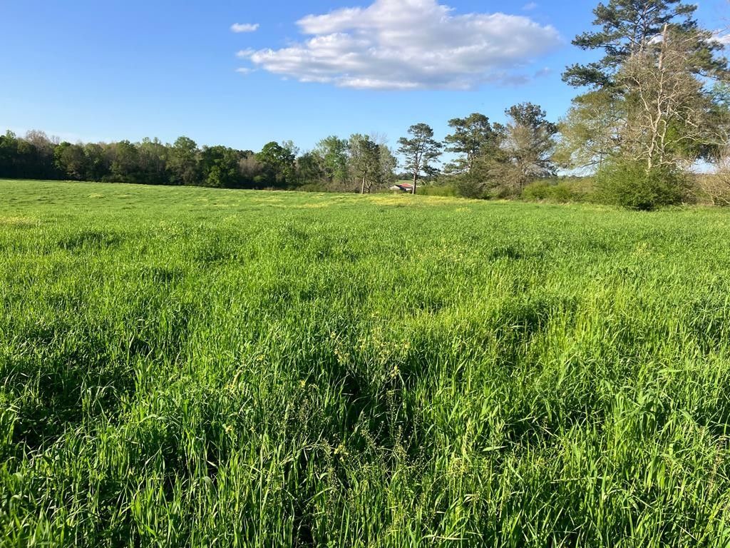 72 Summers Magee Rd, Kokomo, MS 39643 | MLS: 141092 | LandWatch