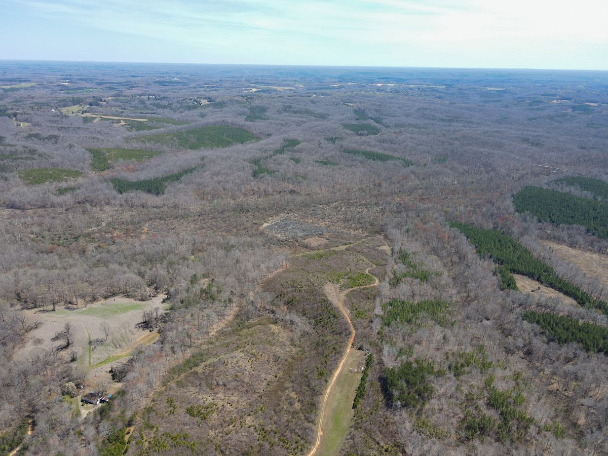 252 Palm Road, Ruffin, NC 27614 | LandWatch