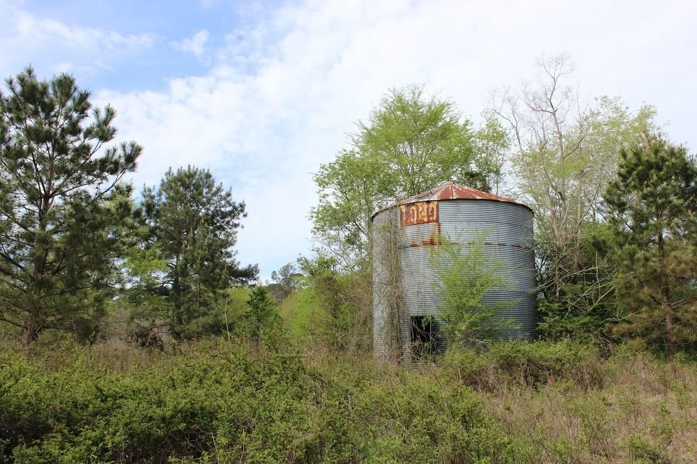 16 acres in Elko, GA, 31085 | LandWatch