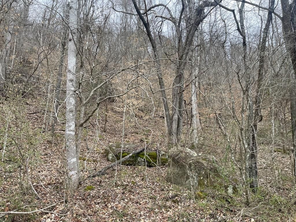 Viper, Perry County, KY Undeveloped Land for sale Property ID ...