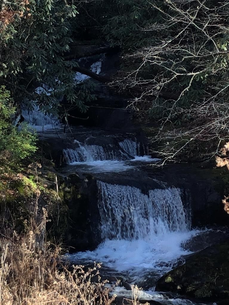 6695 Ellijay Road, Franklin, NC 28734 | MLS: 26036214 | LandWatch