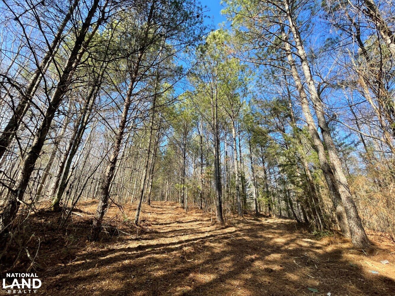 0 Blue ridge Road, Blountsville, AL 35031 | LandWatch