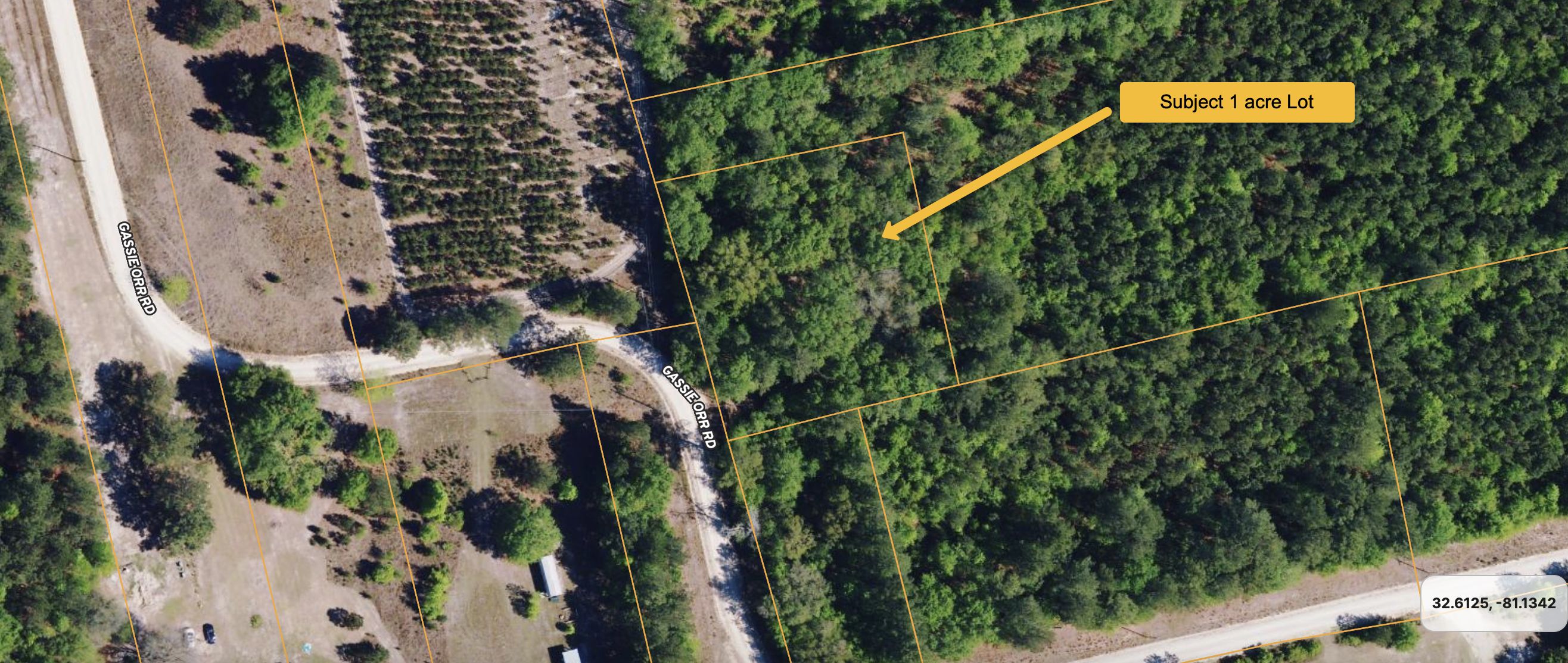 Gassie Orr Road, Pineland, SC 29934 | LandWatch