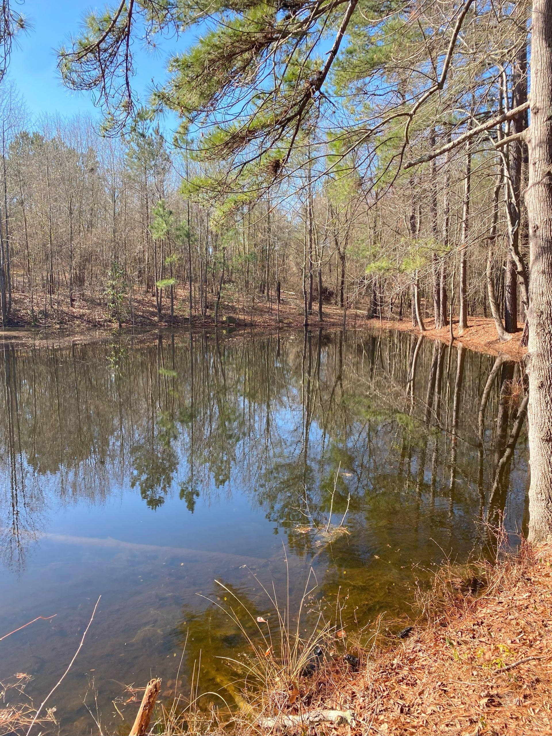 Lakeview Trail, East Rockingham, NC 28379 | LandWatch