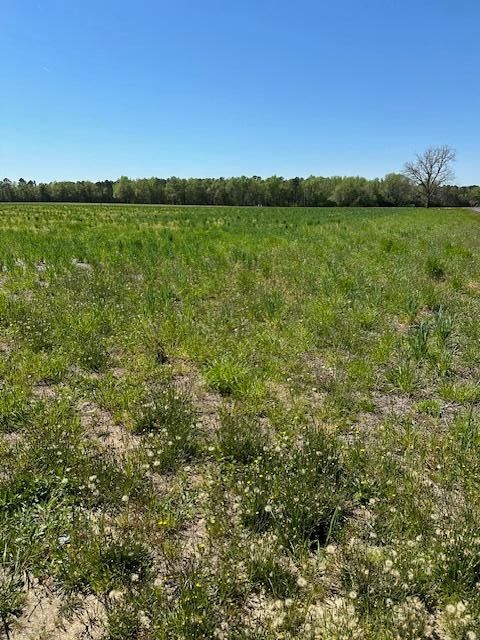 State Park Road, Fork, SC 29543 | LandWatch