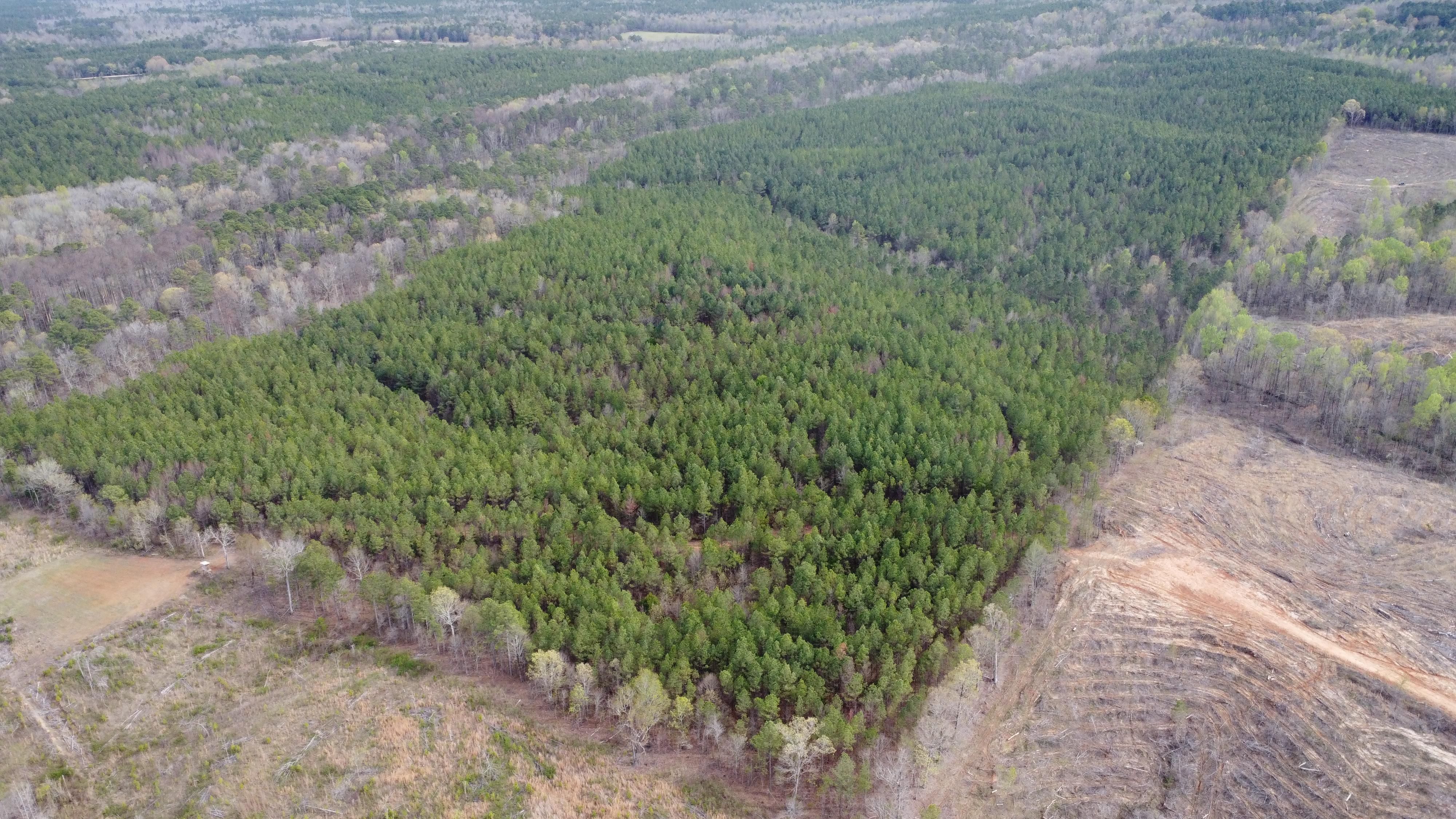 Old Cumberland Road, Maben, MS 39750 | MLS: 24-653 | LandWatch