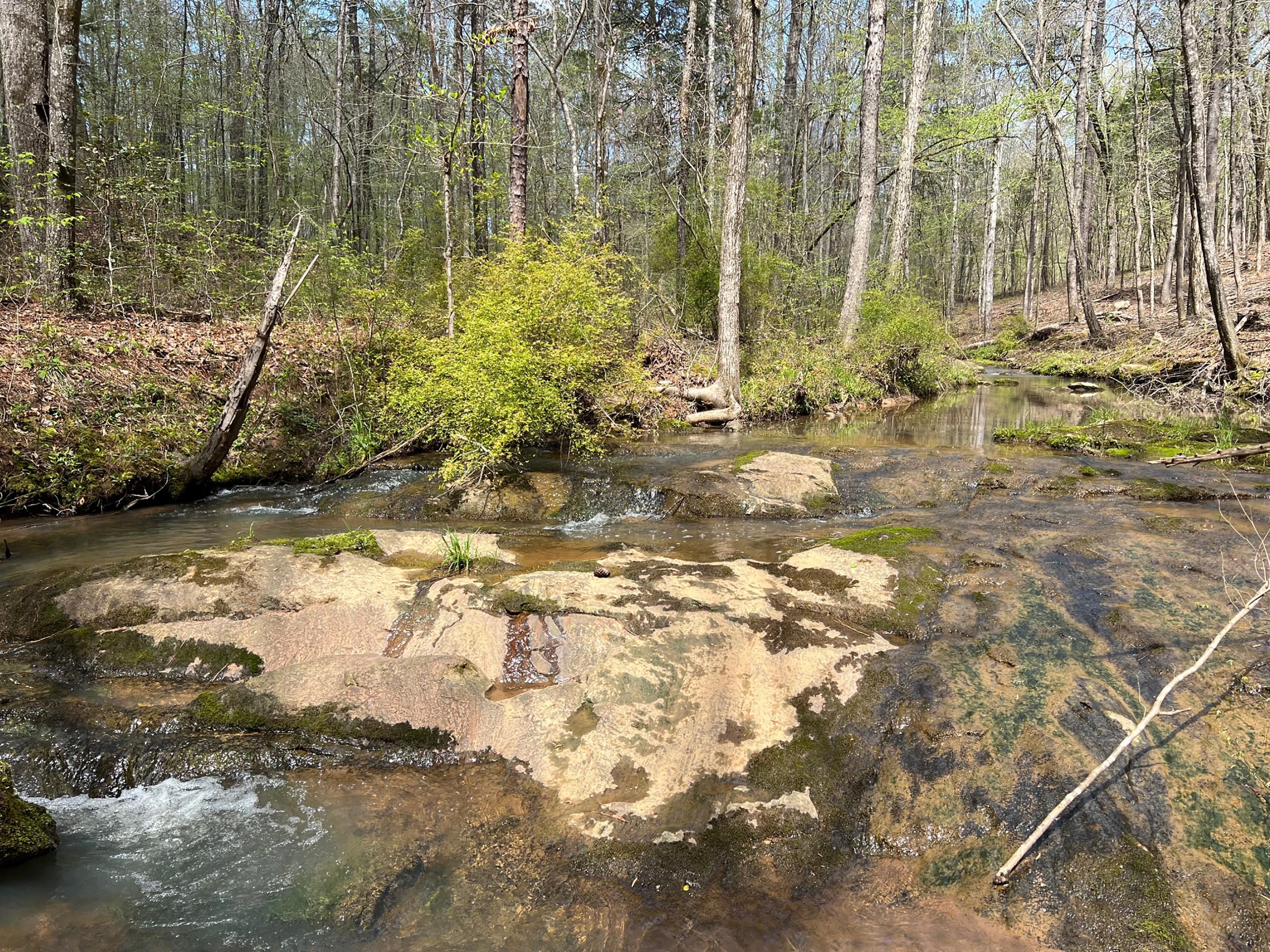 449 Old Indian Springs Road, Forsyth, GA 31029 | LandWatch