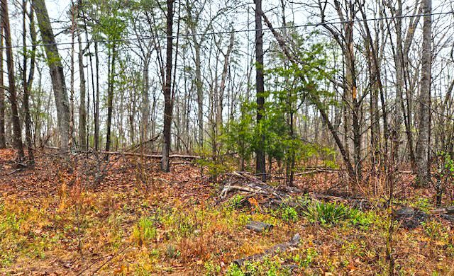 George Washington Hwy, Keysville, VA 23947 | LandWatch