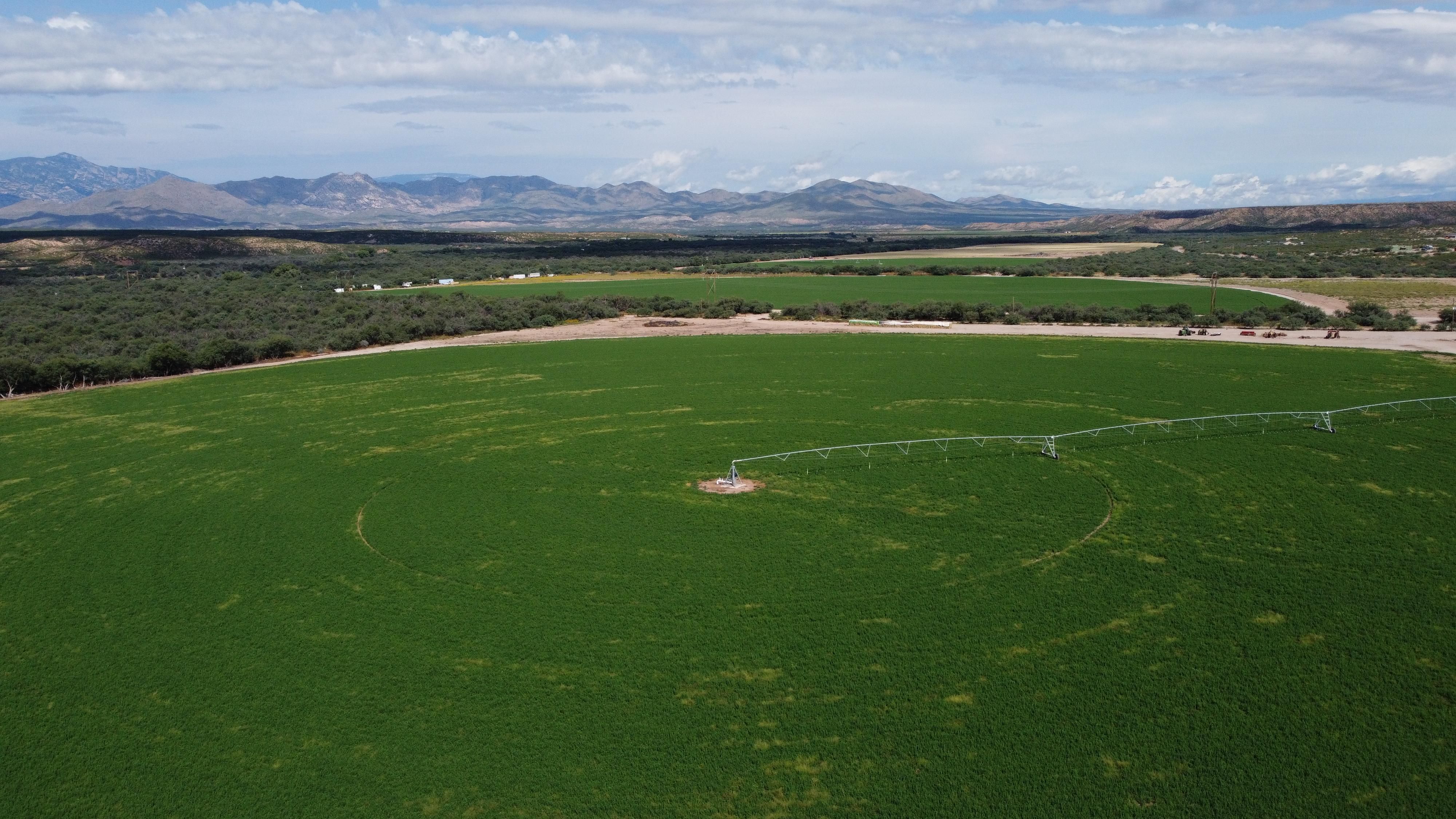 East Pomerene Road, Benson, AZ 85602 | LandWatch