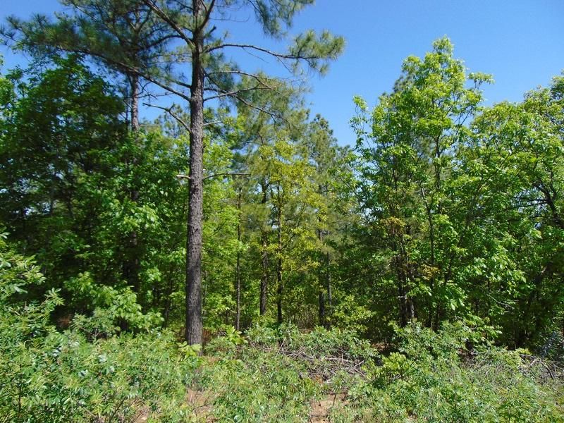 9.96 acres in Wister, OK, 74966 | LandWatch