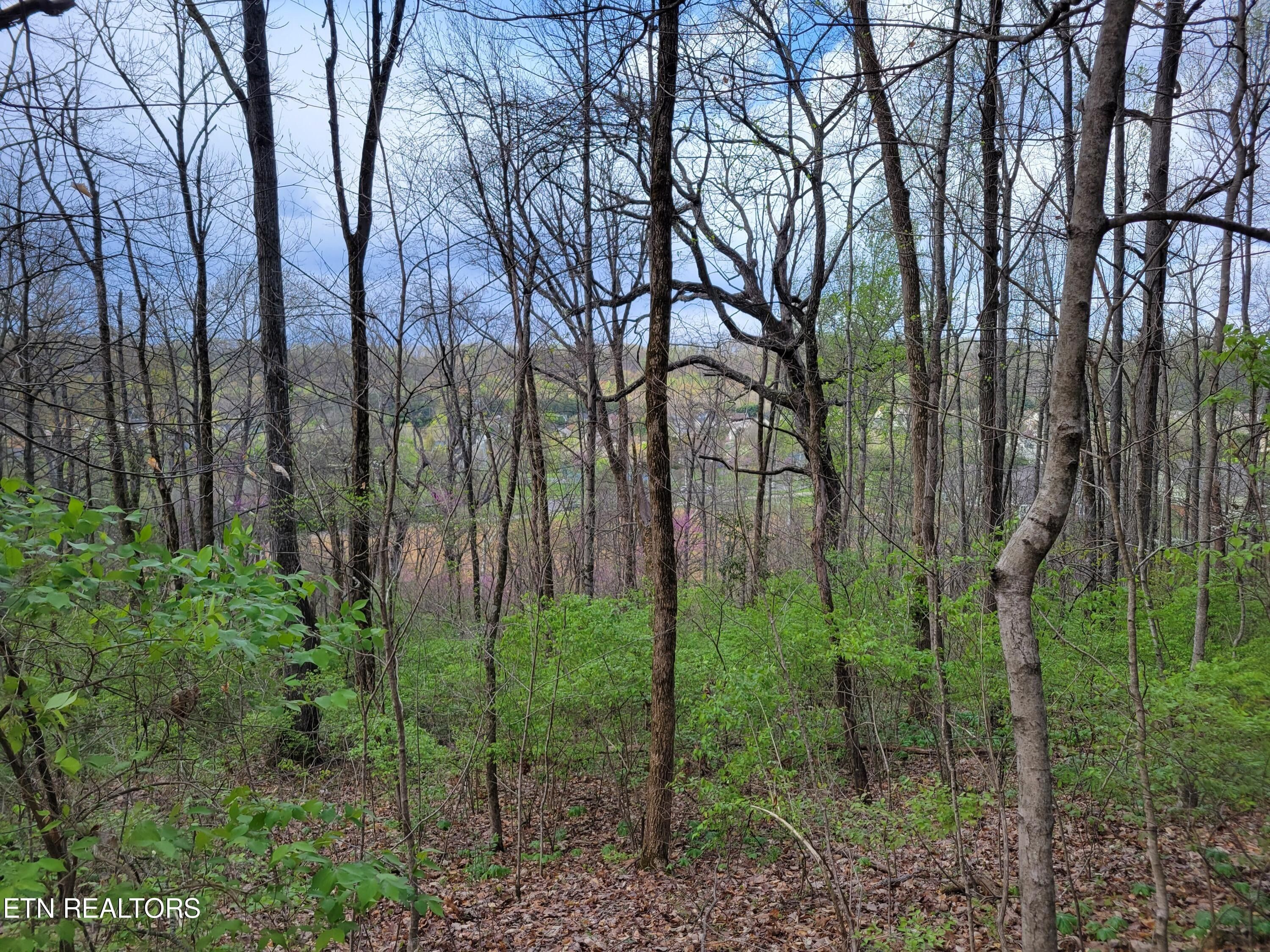 Lot 16 Rifle Range Drive, Knoxville, TN 37918 | MLS: 1258143 | LandWatch