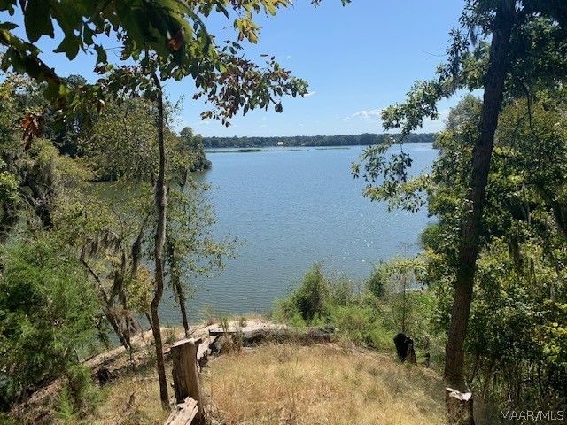 1 Prairie Bluff Drive, Catherine, AL 36728 | MLS: 554643 | LandWatch
