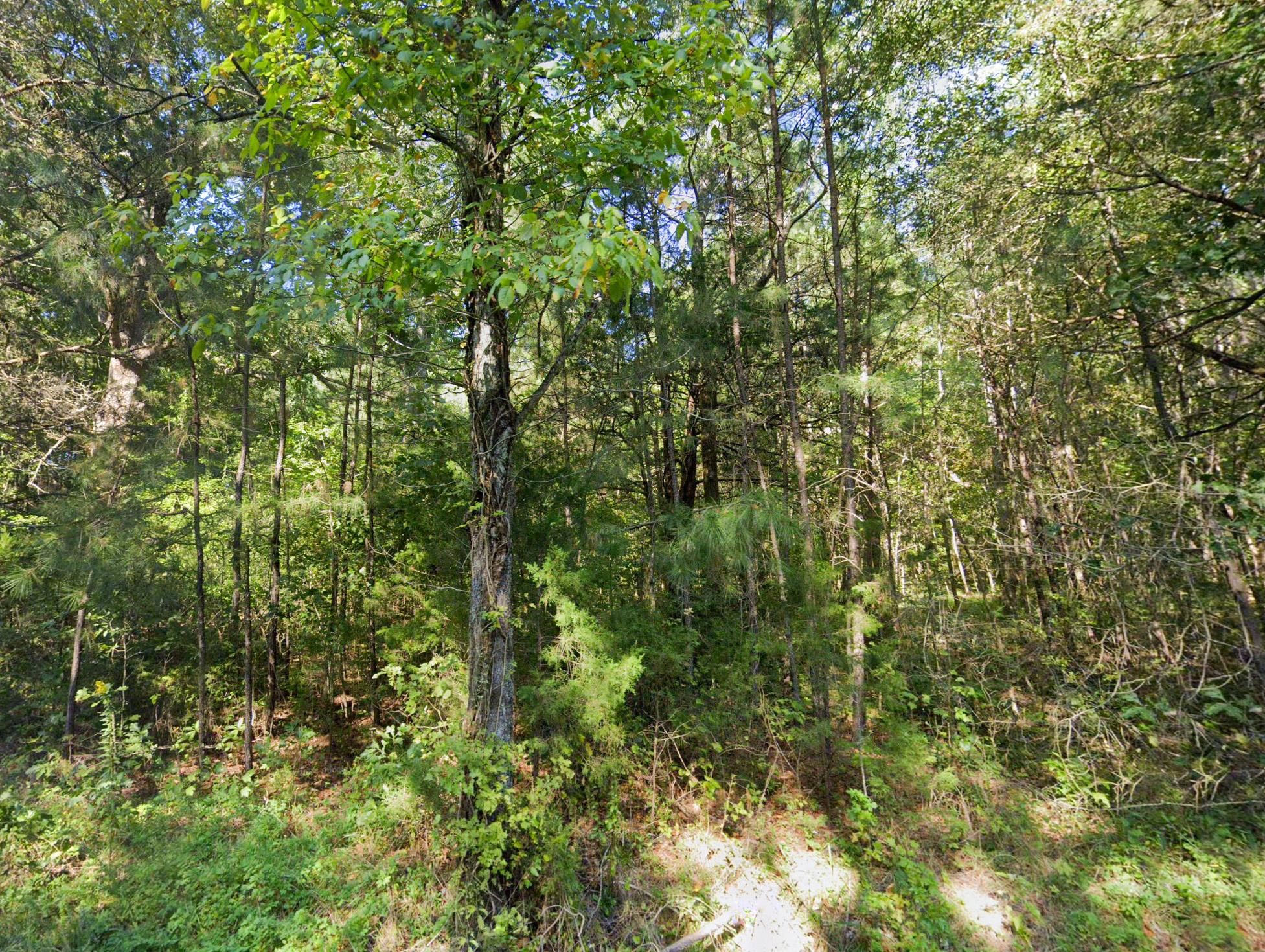 Big Horn Rd, Freeman, VA 23856 | LandWatch