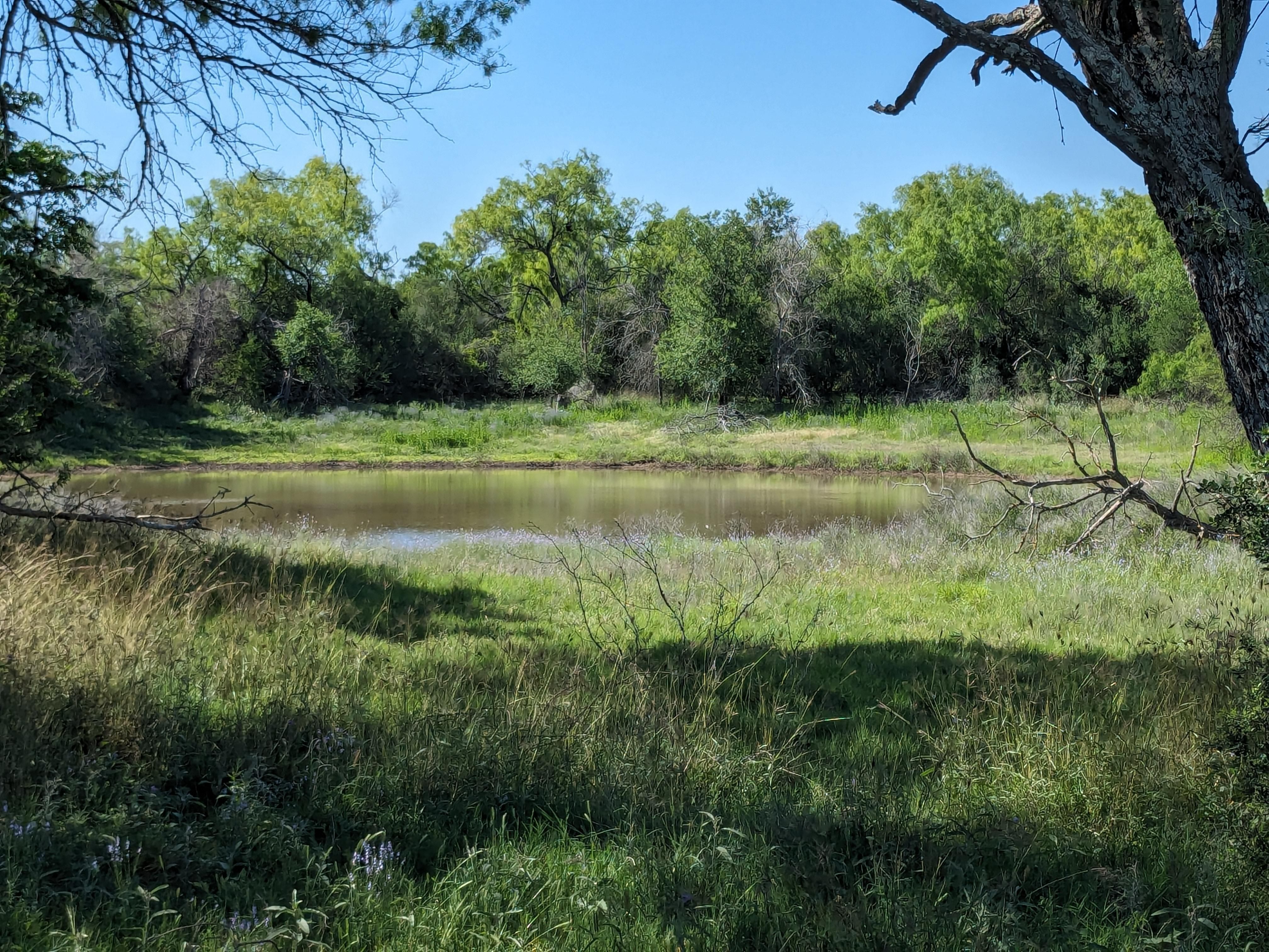 18620 FM 1582, Pearsall, TX 78061 | LandWatch