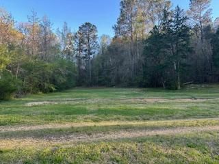 10090 U.S. 278, Beaverton, AL 35544 | LandWatch