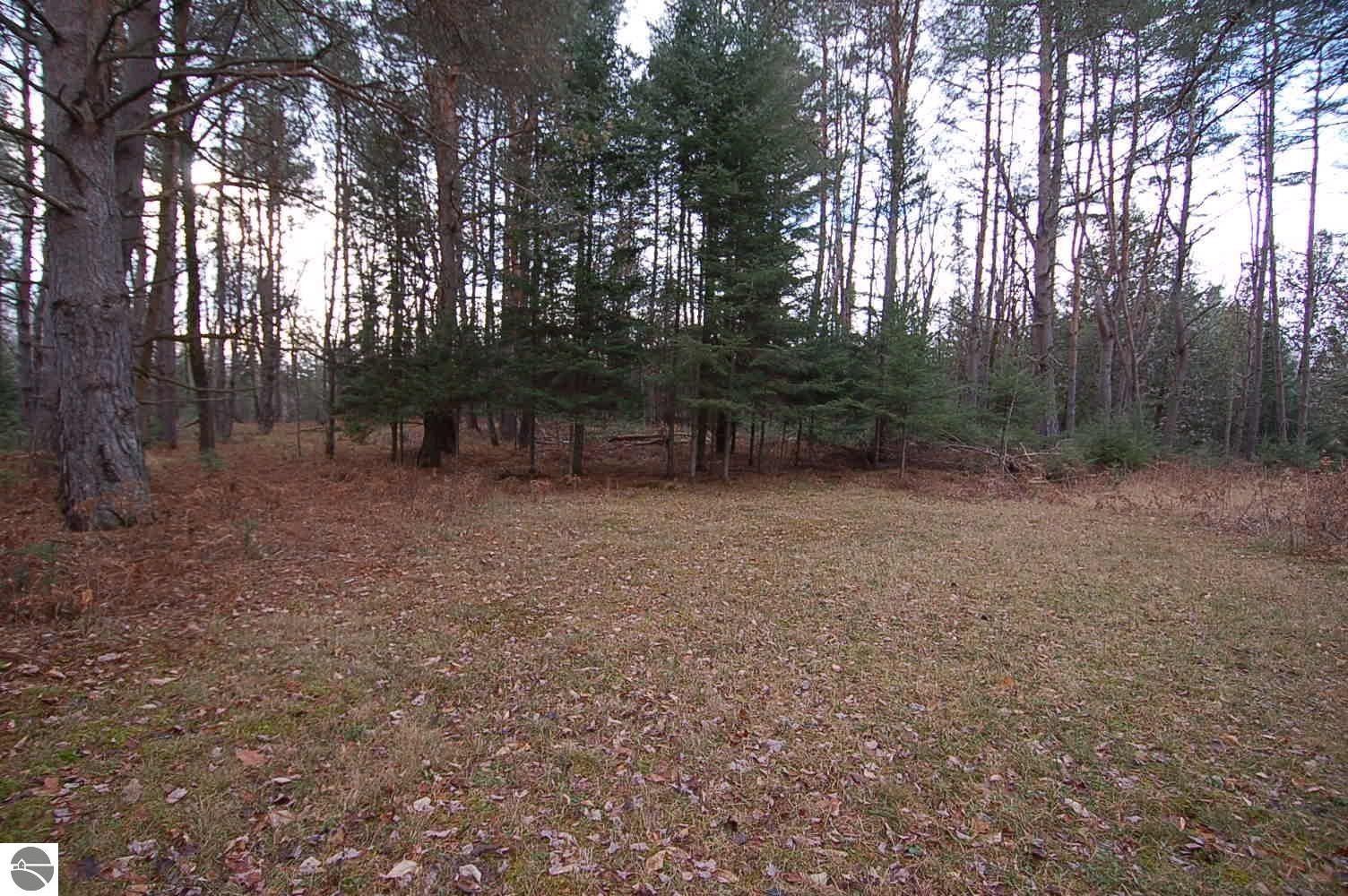 Tustin, Osceola County, MI Undeveloped Land, Lakefront Property ...