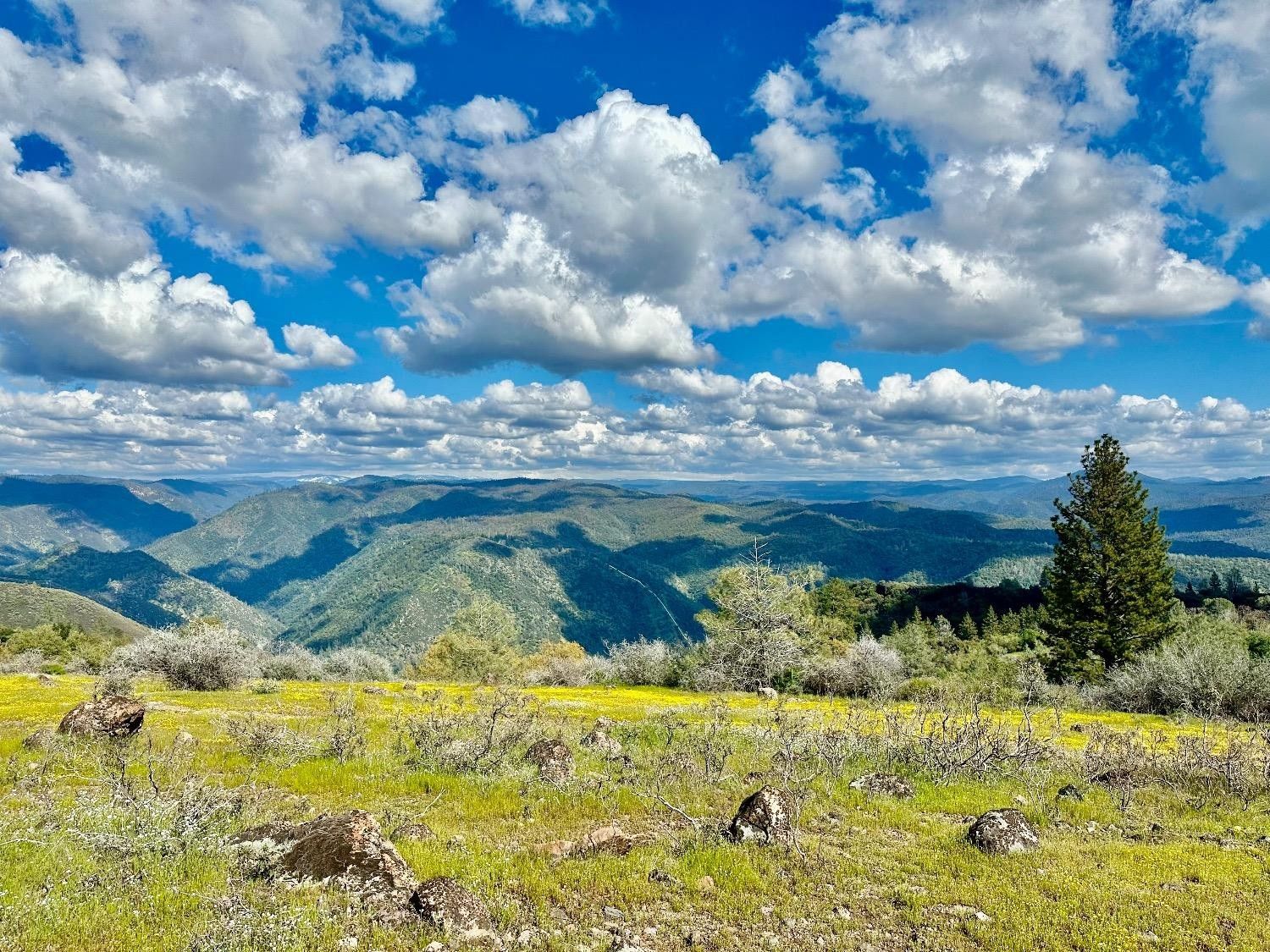 Pennsylvania Gulch Road, Murphys, CA 95247 | MLS: 202400517 | LandWatch