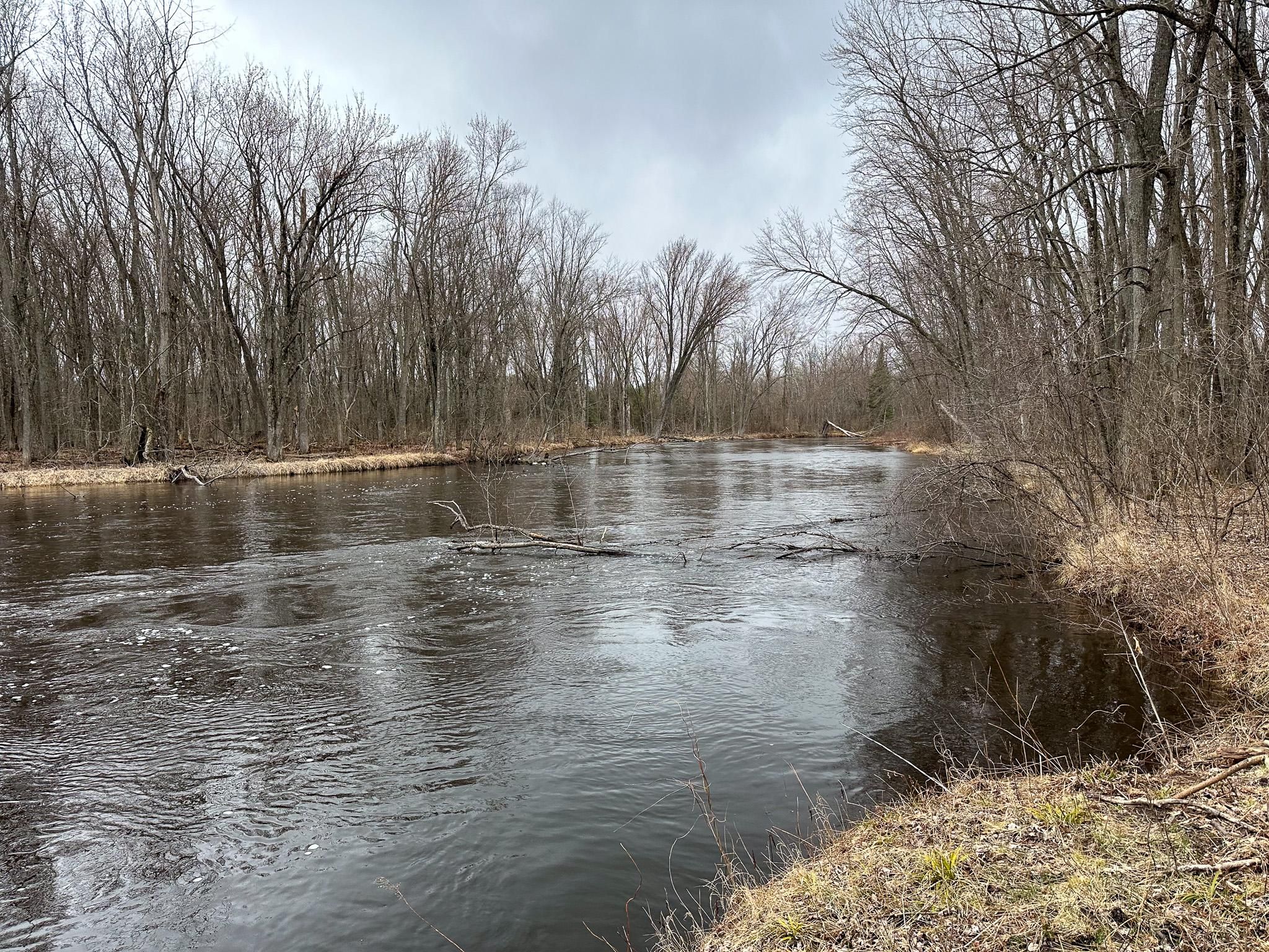 392 S MAIN ST, Harrison, MI 48625 | LandWatch