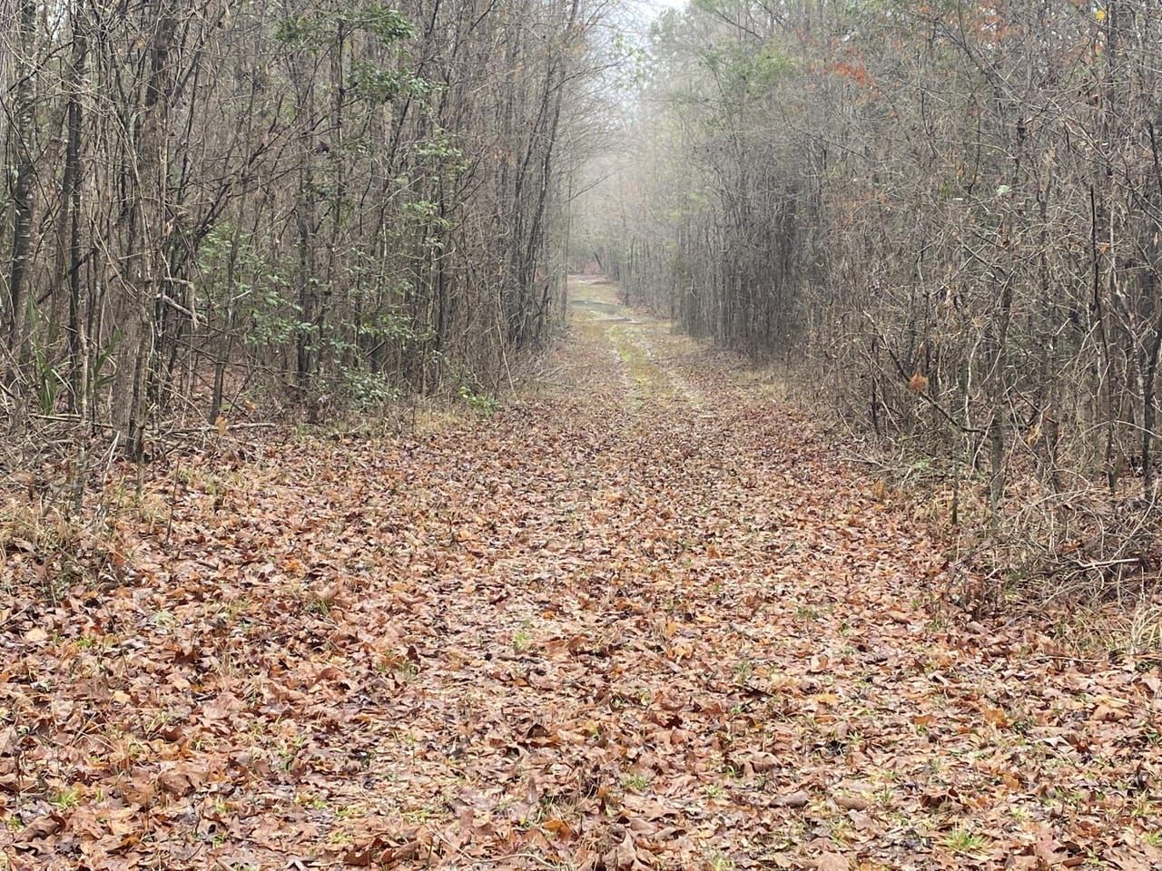 WALSTON RD., Summerfield, LA 71079 | LandWatch