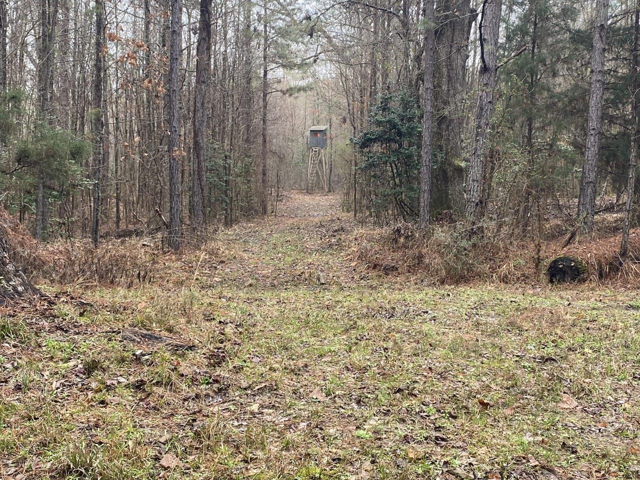 WALSTON RD., Summerfield, LA 71079 | LandWatch