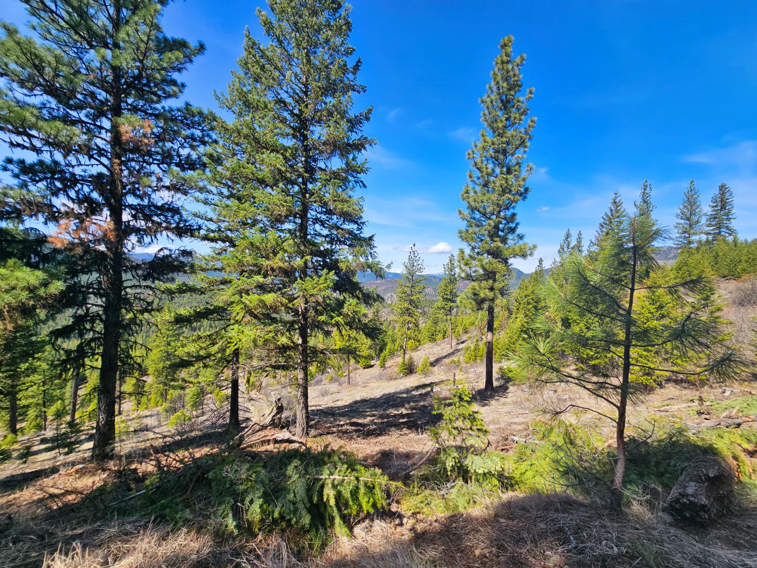 Libby, Lincoln County, MT Recreational Property, Undeveloped Land ...